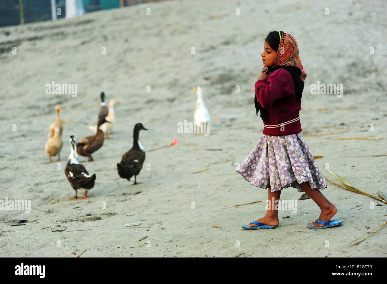 India Bihar state Patna Sonepur Sonepur Mela Cattle Fait (largest in ...