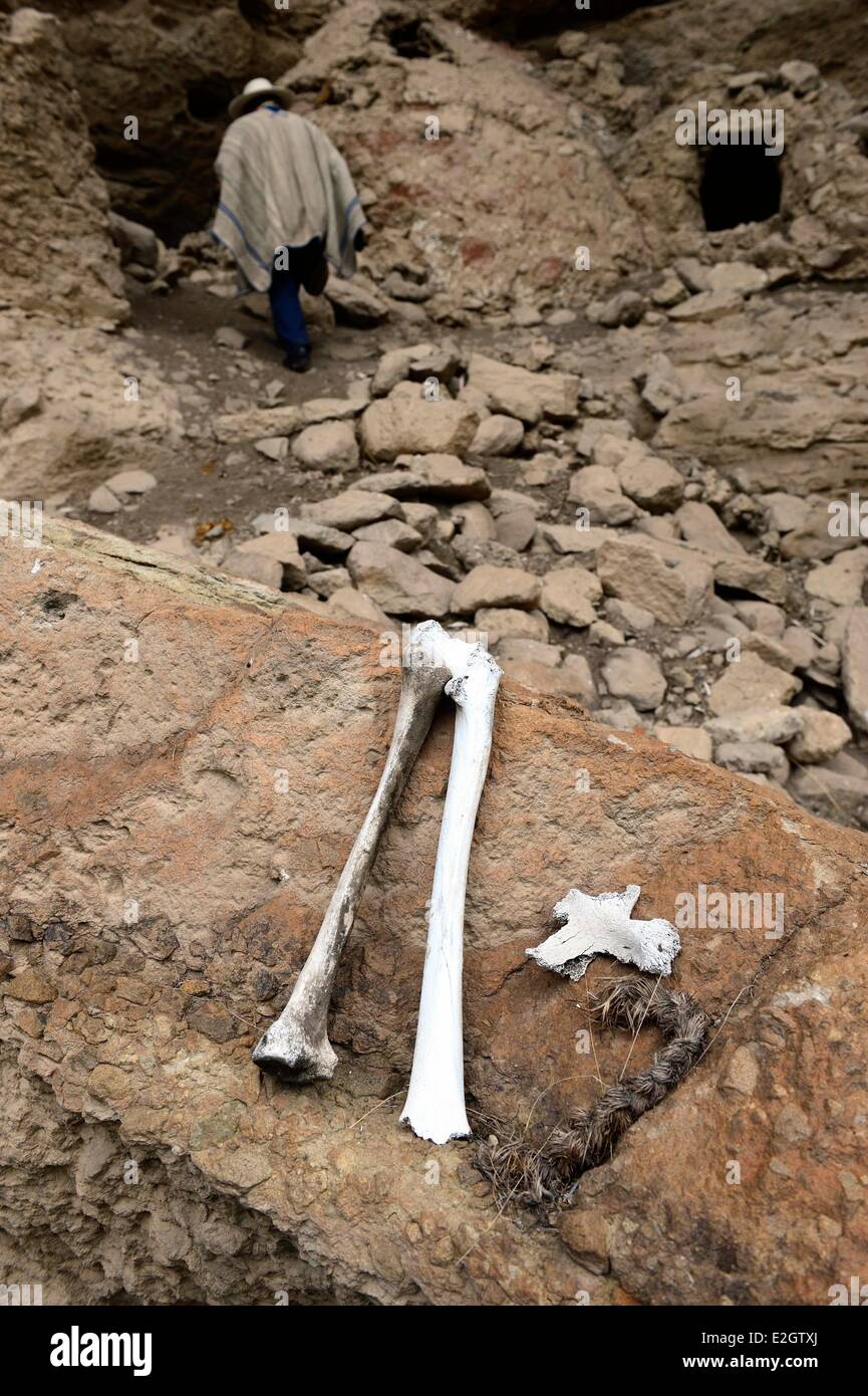 Inca mummy hi-res stock photography and images - Alamy