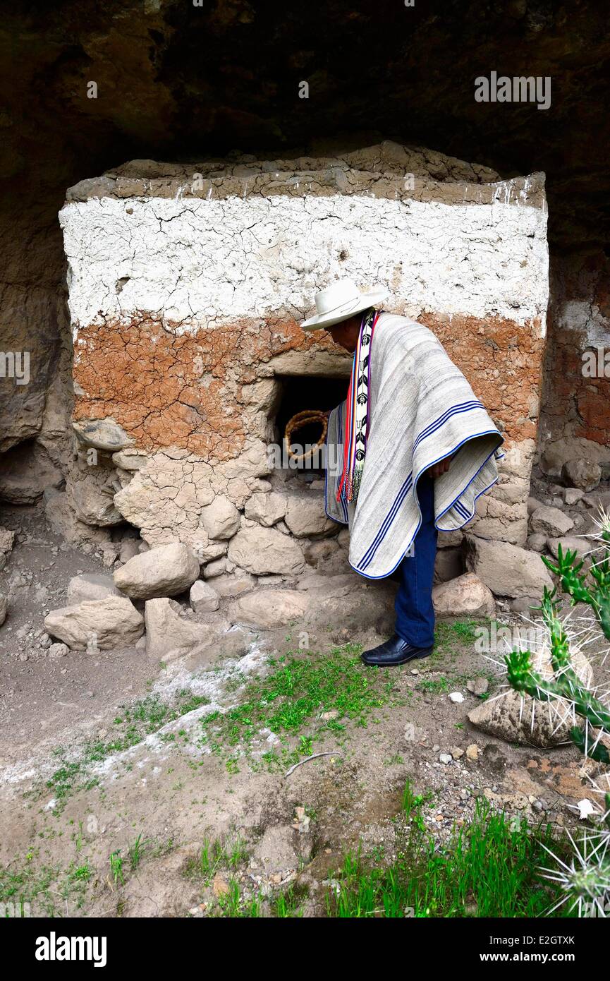 Peru Cuzco province Livitaca valley of Chinisiri whose caves contain an ...