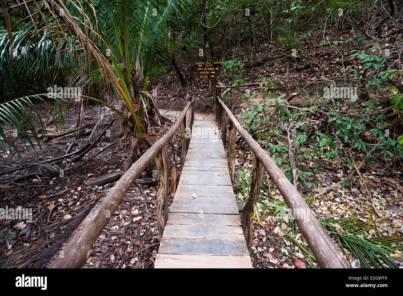 Curu nature hi-res stock photography and images - Alamy