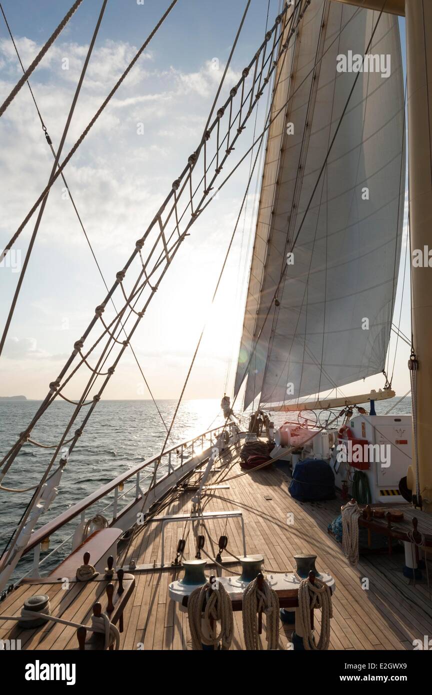 Star flyer hi-res stock photography and images - Alamy