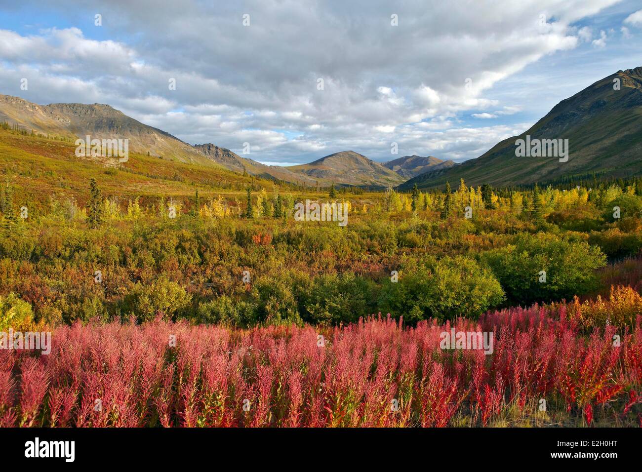 Canada Yukon province Dawson,Tombstone mountains in autumn colors Stock ...