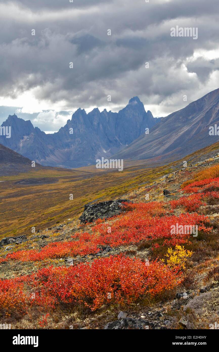 Canada Yukon province Dawson,Tombstone mountains in autumn colors Stock ...