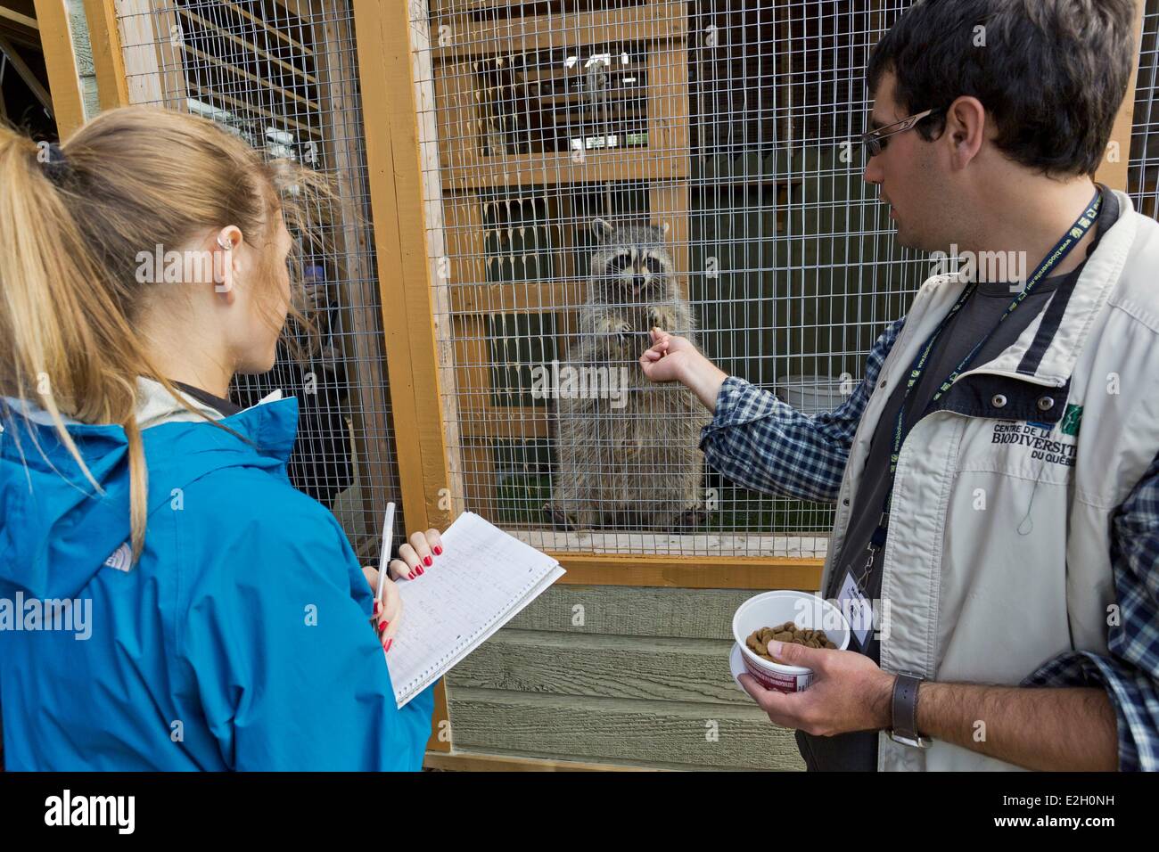 Quebec Animals High Resolution Stock Photography and Images - Alamy
