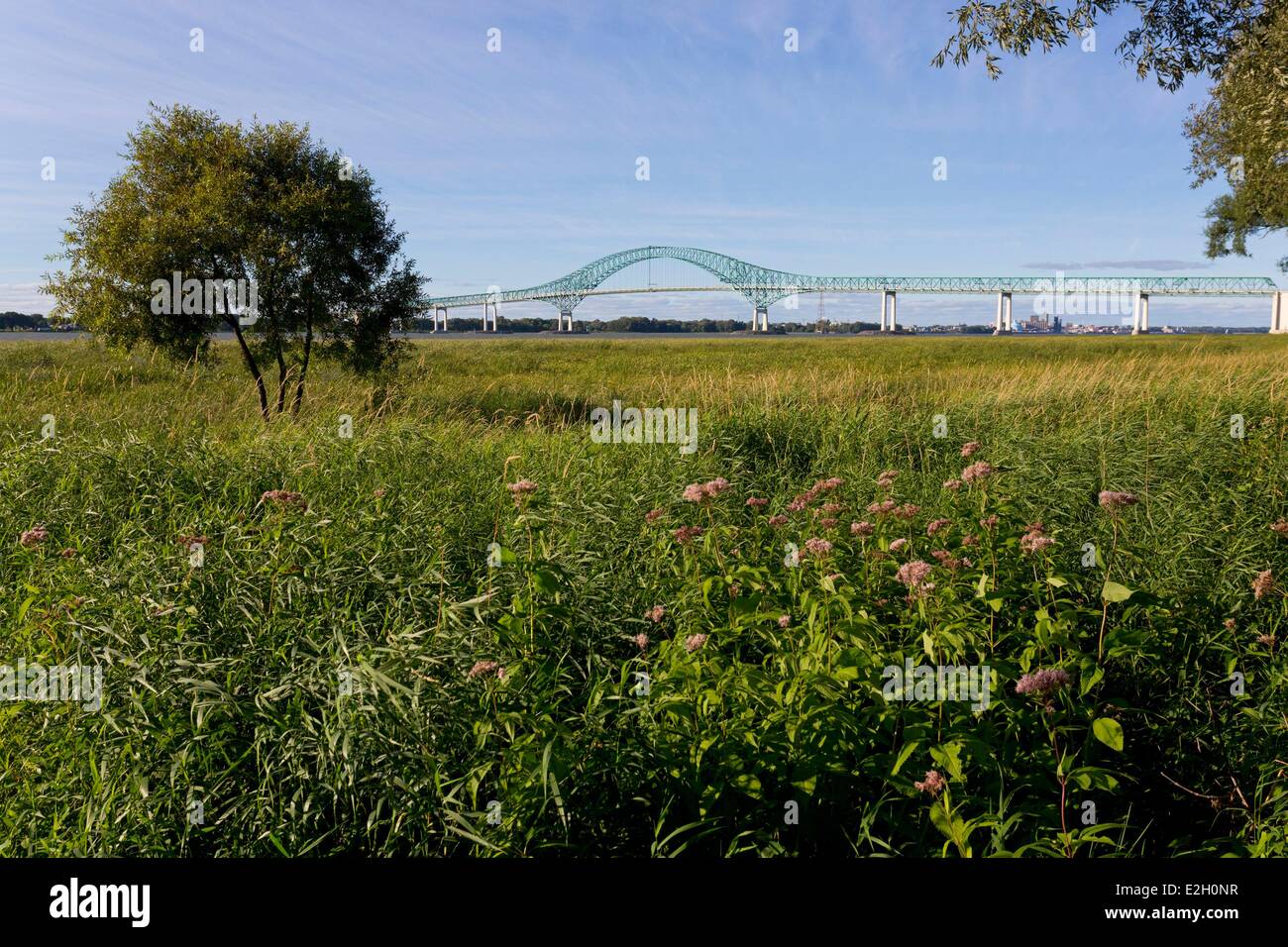 Canada Quebec province Centre du Quebec region Laviolette Bridge over ...