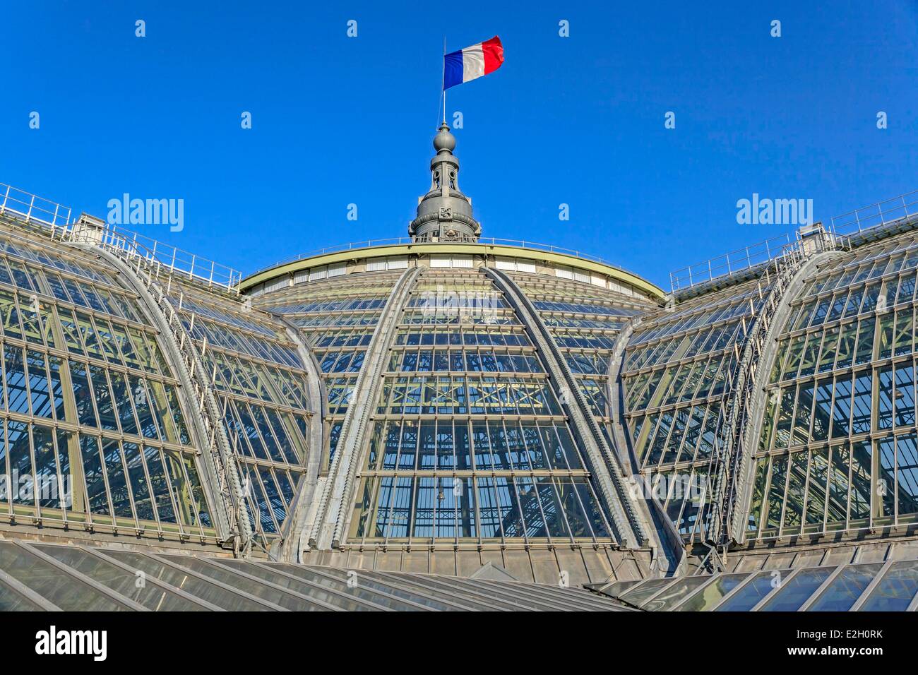France Paris glass roof of Grand Palais Stock Photo - Alamy