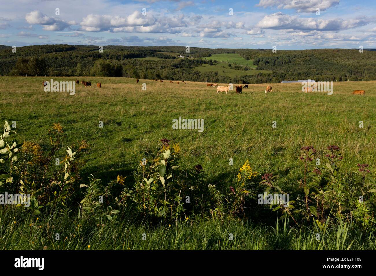 Canada Quebec province Centre du Quebec region Inverness surrounding ...