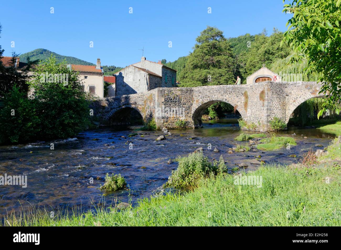 Saurier hi-res stock photography and images - Alamy