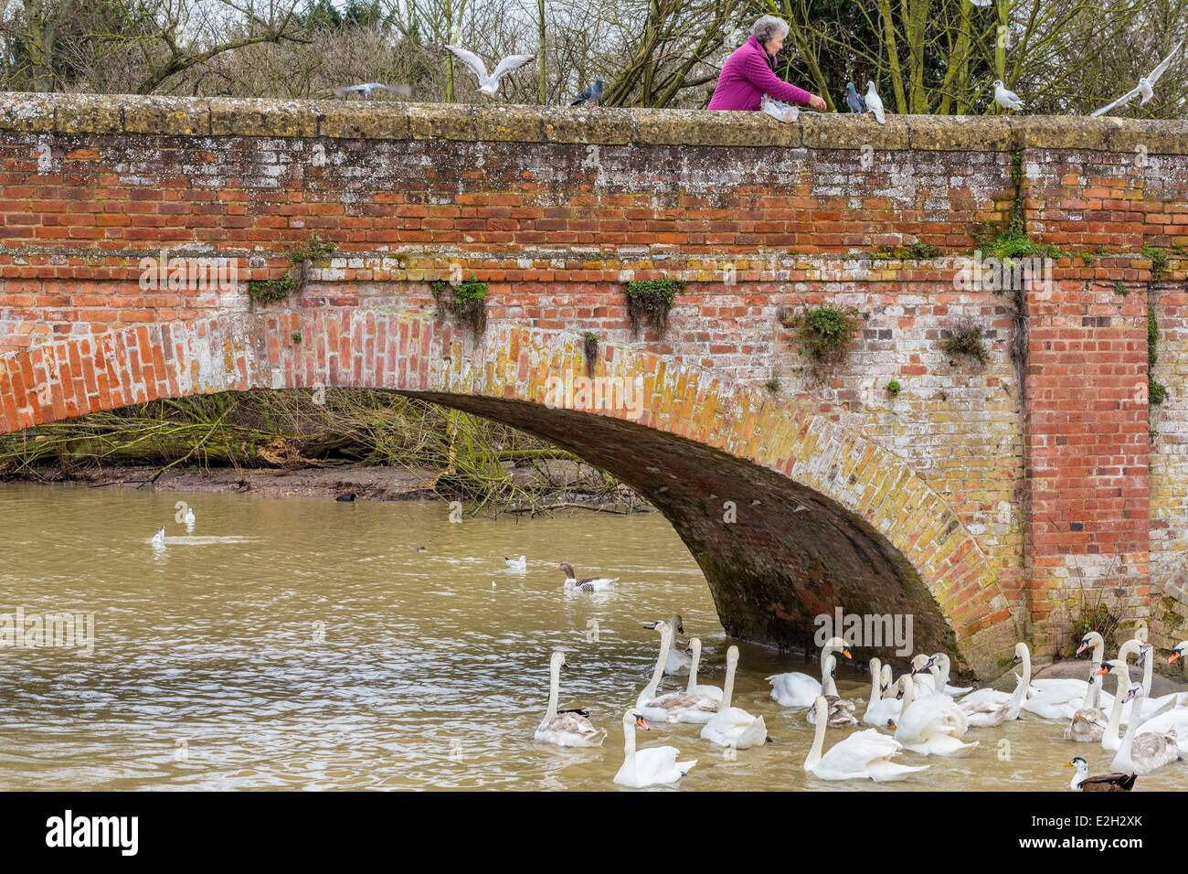 United Kingdom Warwickshire Stratford-upon-Avon Clopton Bridge built in ...