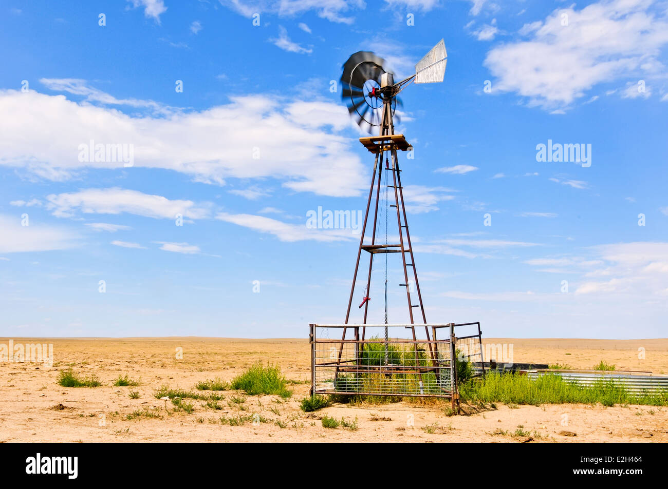 Cattle at water windmill High Resolution Stock Photography and Images ...