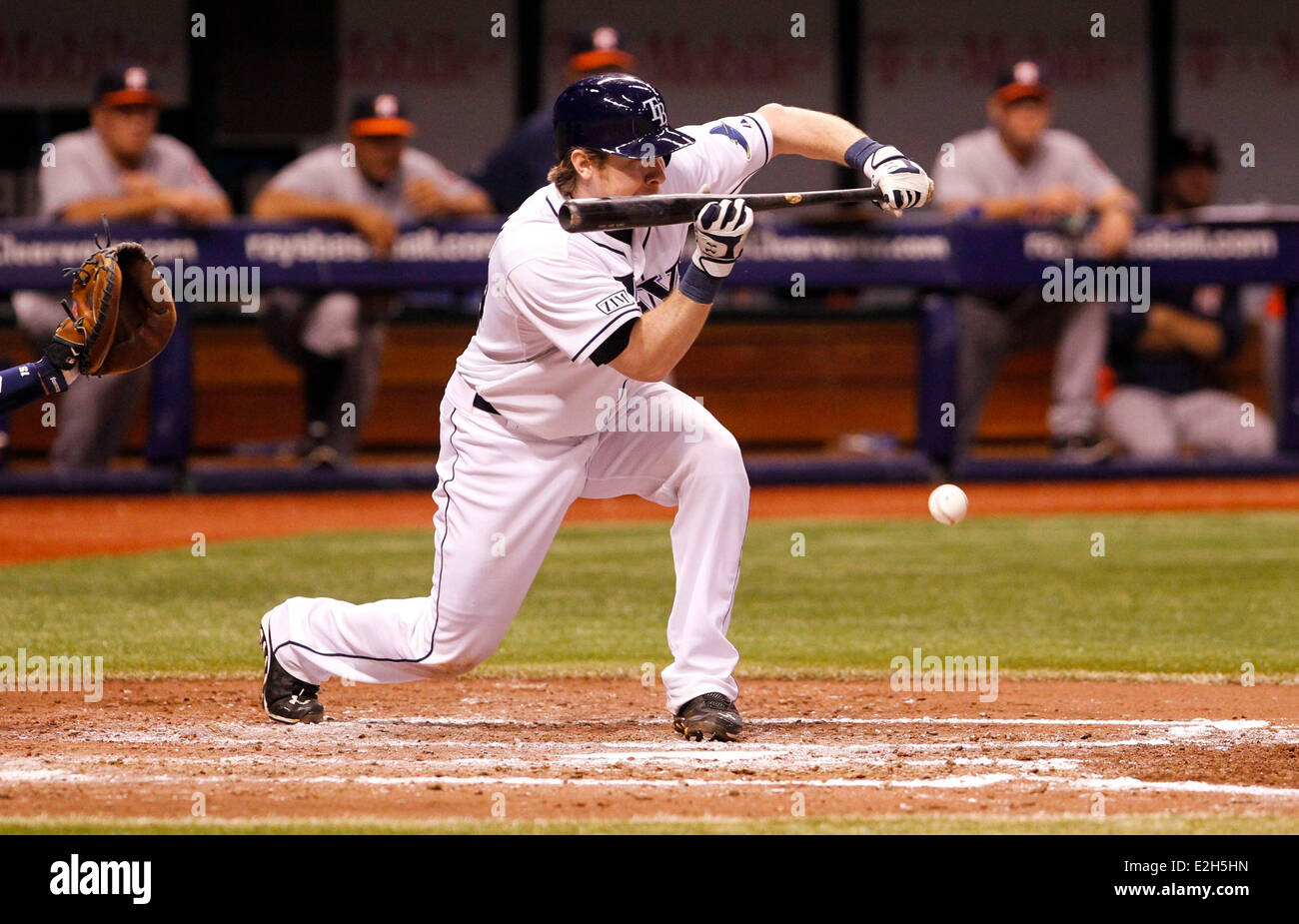 June 19, 2014 - St. Petersburg, Florida, U.S. - WILL VRAGOVIC | TIMES ...