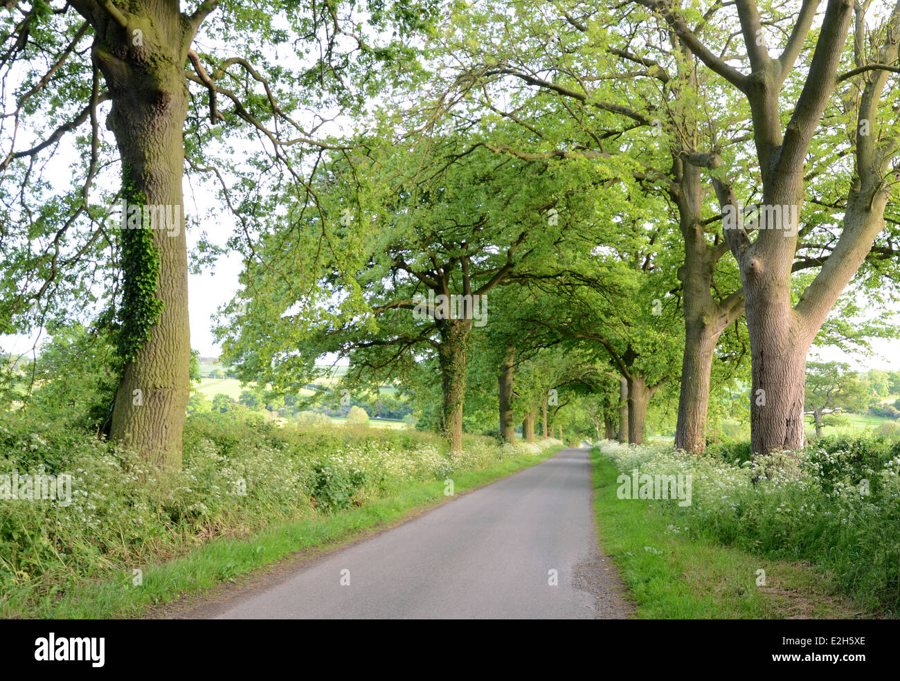 Lyndon rutland hi-res stock photography and images - Alamy