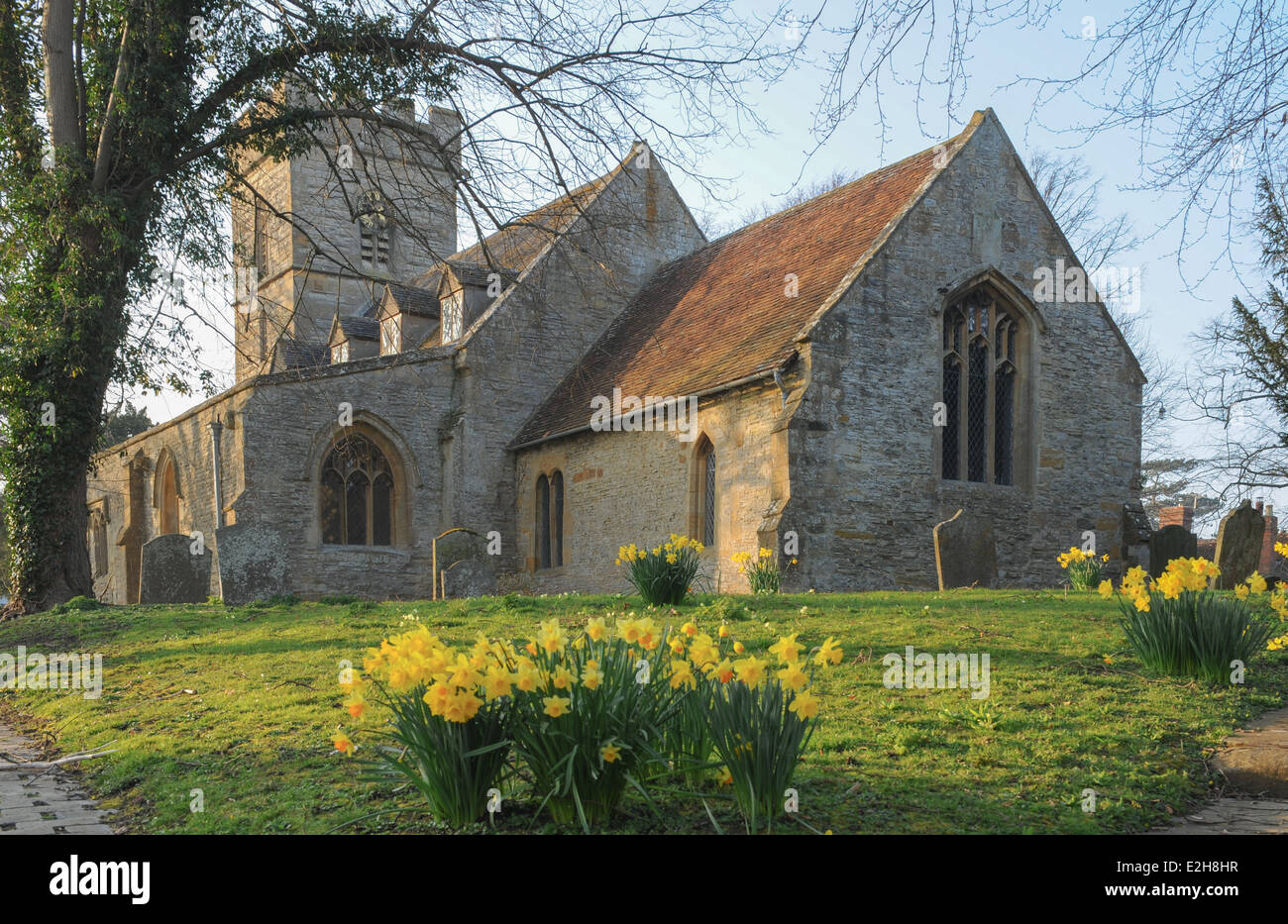 The Church of St Peter Surrounded by Spring Flowering Daffodils in ... The Church of St Peter Surrounded by Spring Flowering Daffodils in ...