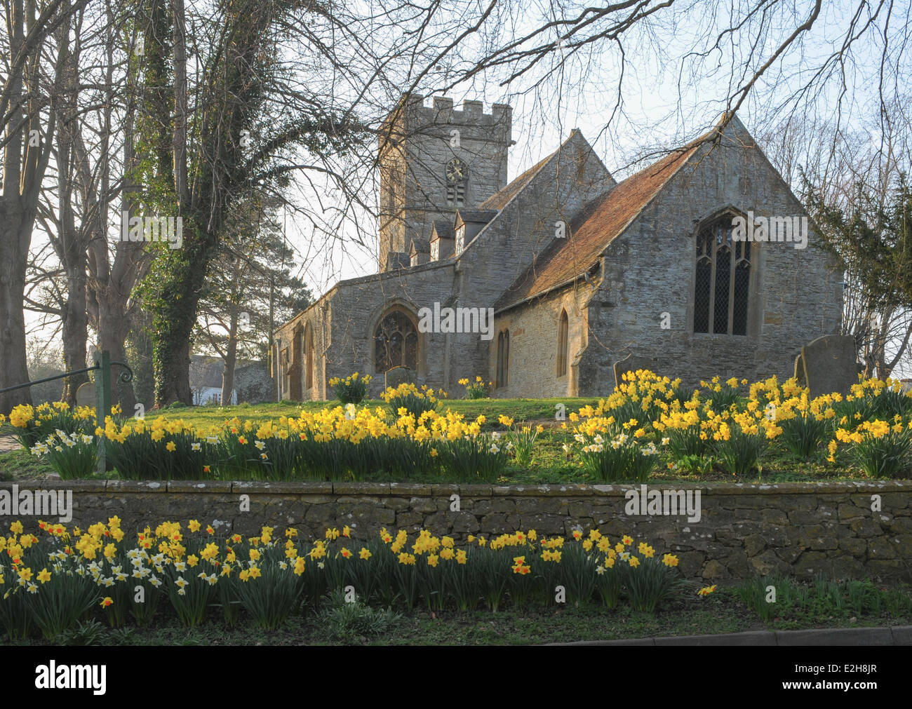 The Church of St Peter Surrounded by Spring Flowering Daffodils in ...