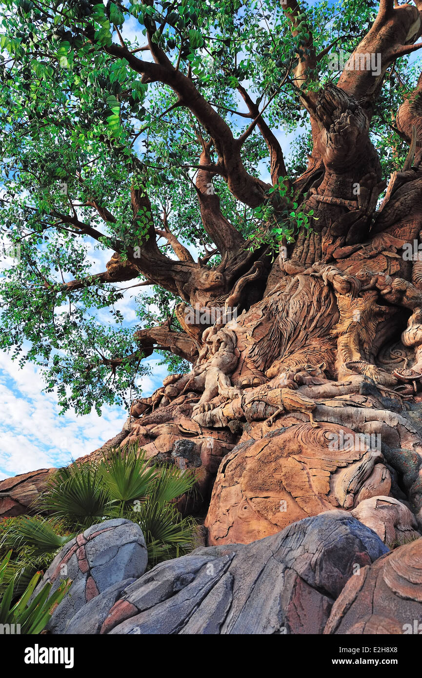 The Tree of Life in forest Stock Photo - Alamy