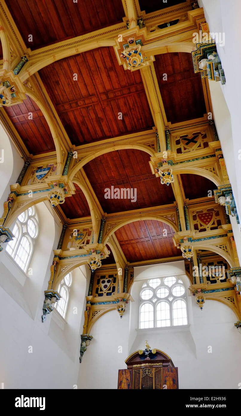 Wollaton natural history museum hi-res stock photography and images - Alamy