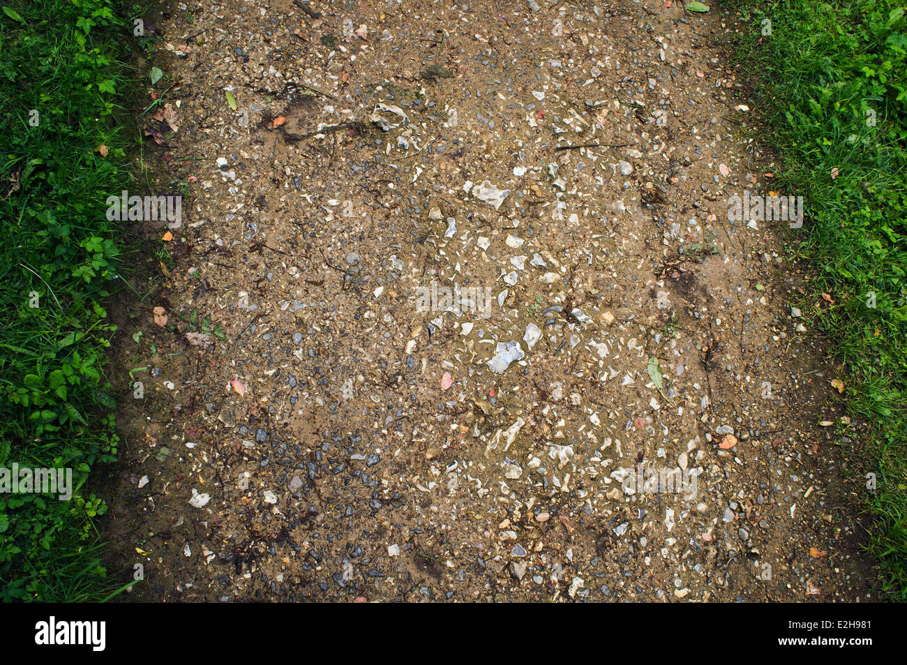garden path, flint stone, Sheffield Park and Garden, Uckfield, East ...