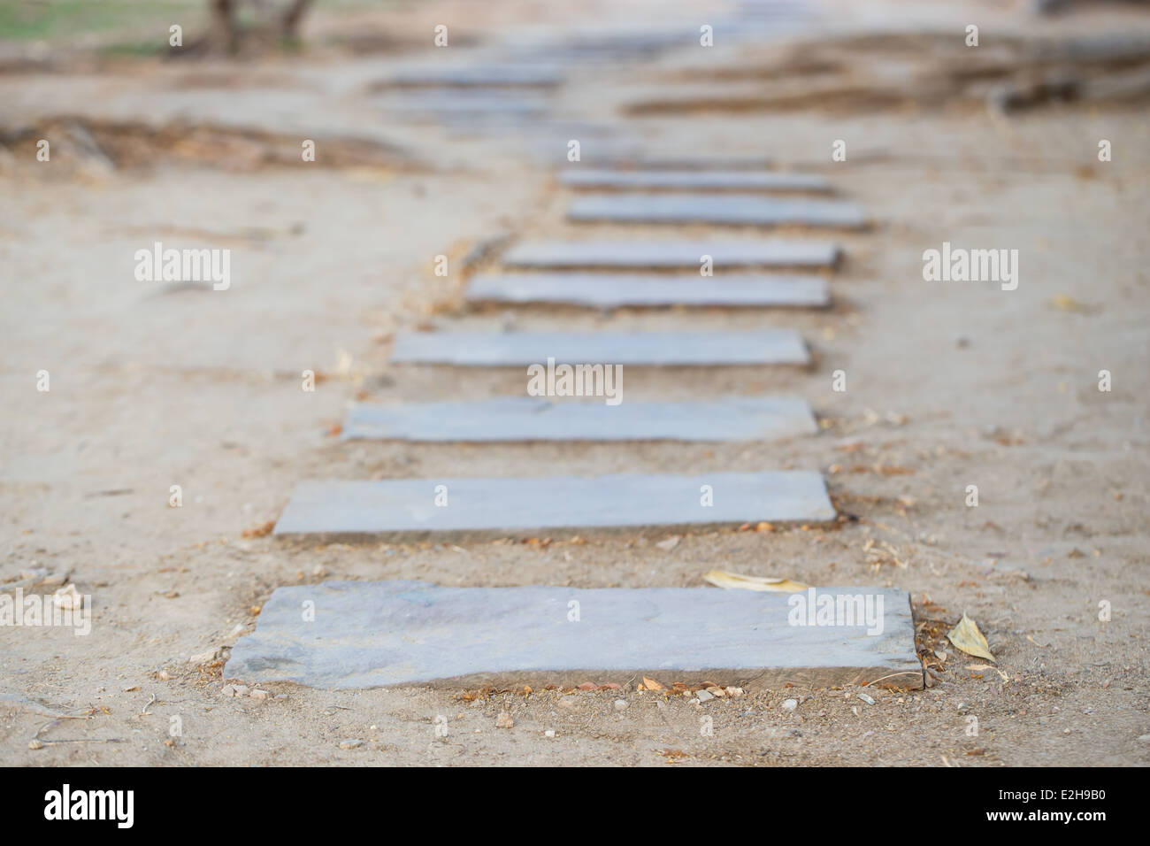 The Stone block walk path on soil with Depth Of Field Stock Photo - Alamy