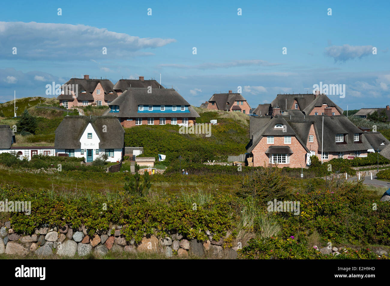 Houses in the dunes, Rantum, Sylt, North Frisia, Schleswig-Holstein ...