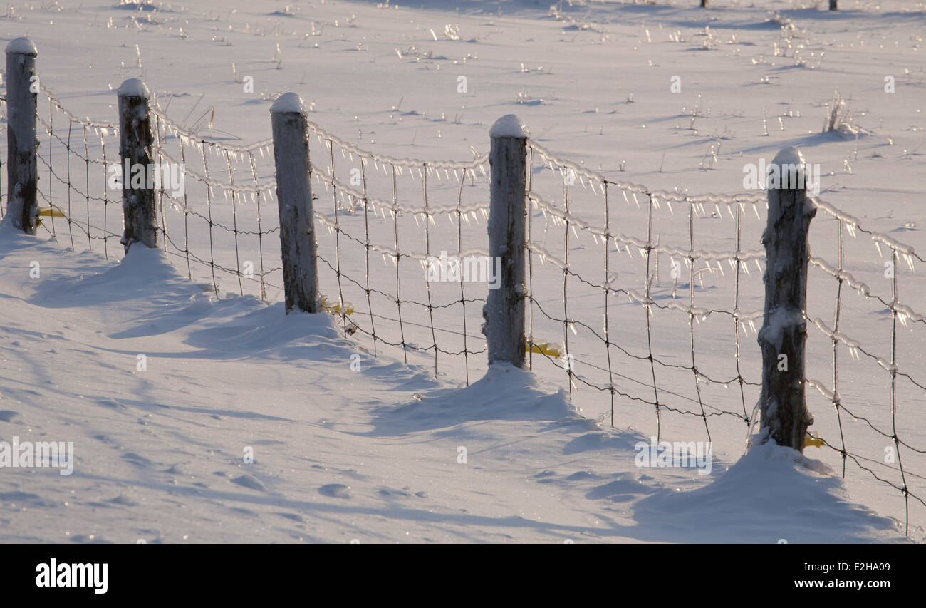 Frosted fence, Eastern Townships, Quebec, Canada Stock Photo - Alamy