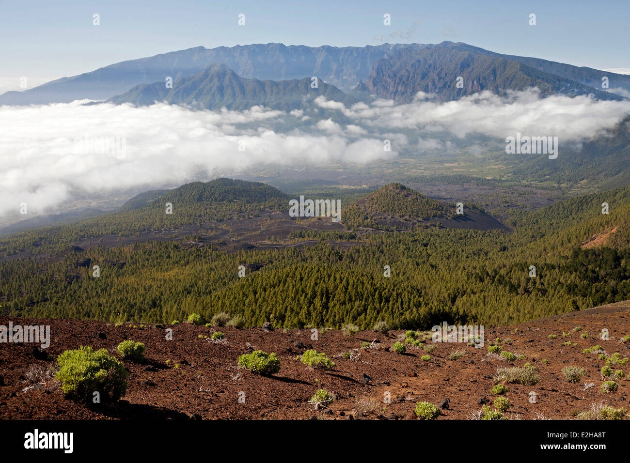 Volcanic crater in the Caldera de Taburiente National Park, La Palma ...