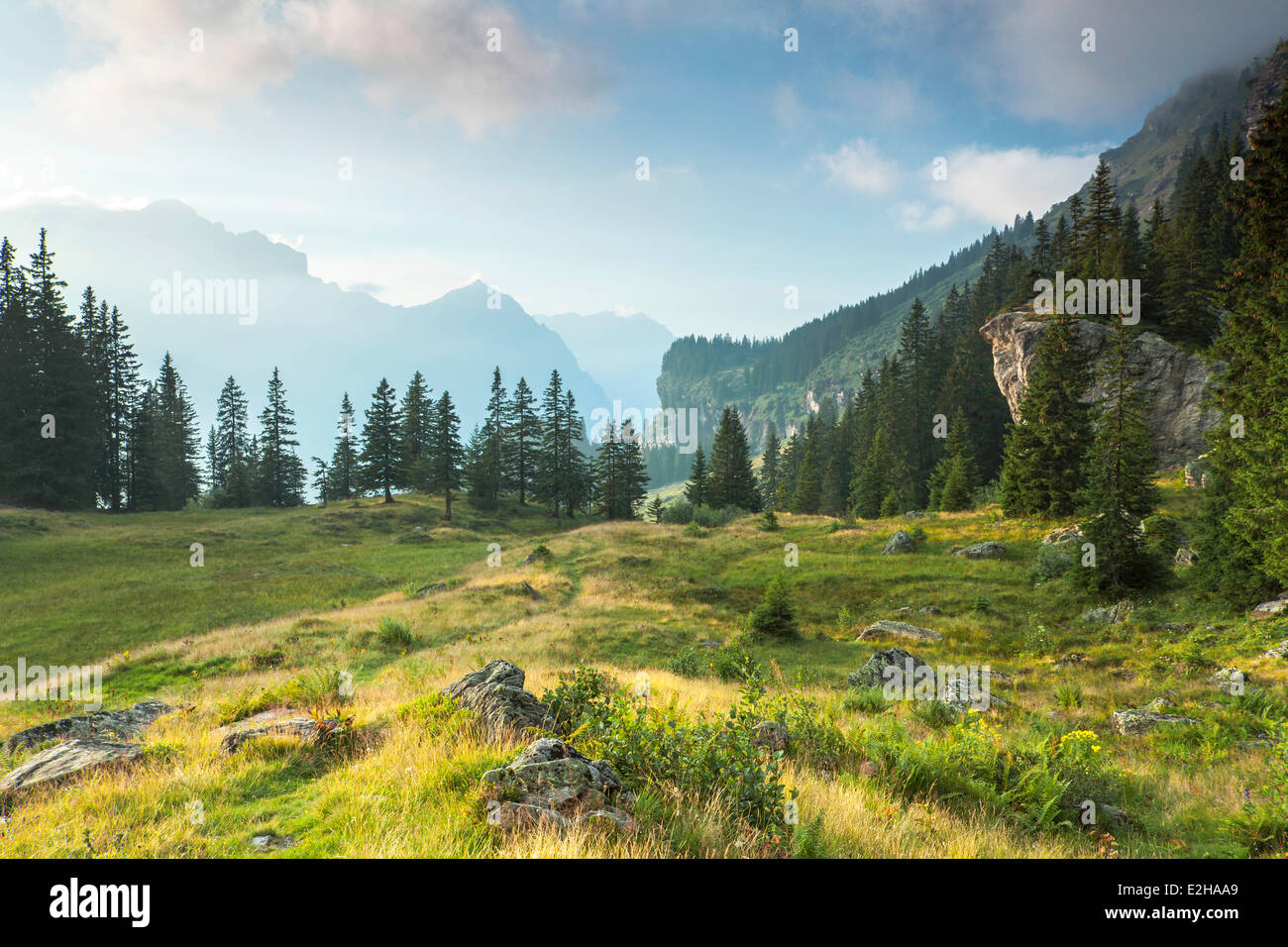 Countryside with mountains and meadows in the Glarus Alps, with Mt ...
