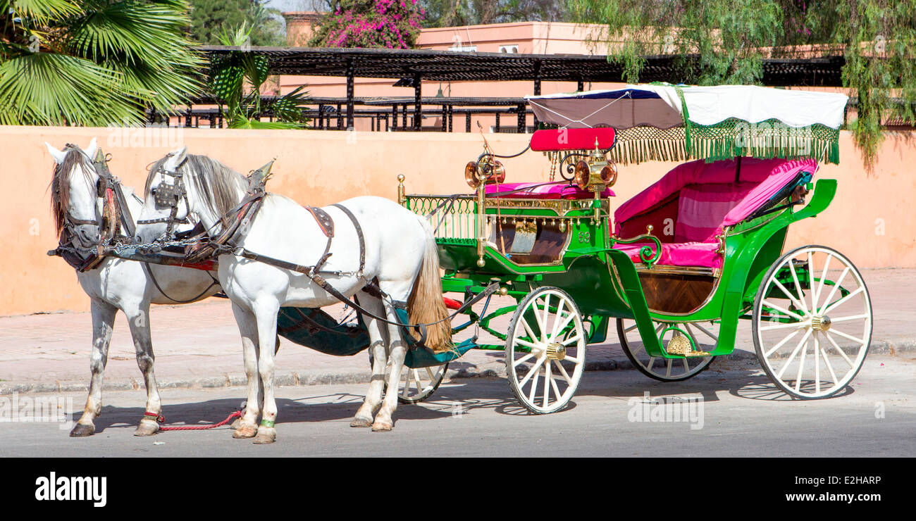 Horse drawn carriages are a popular mode of transport for visitors in ...