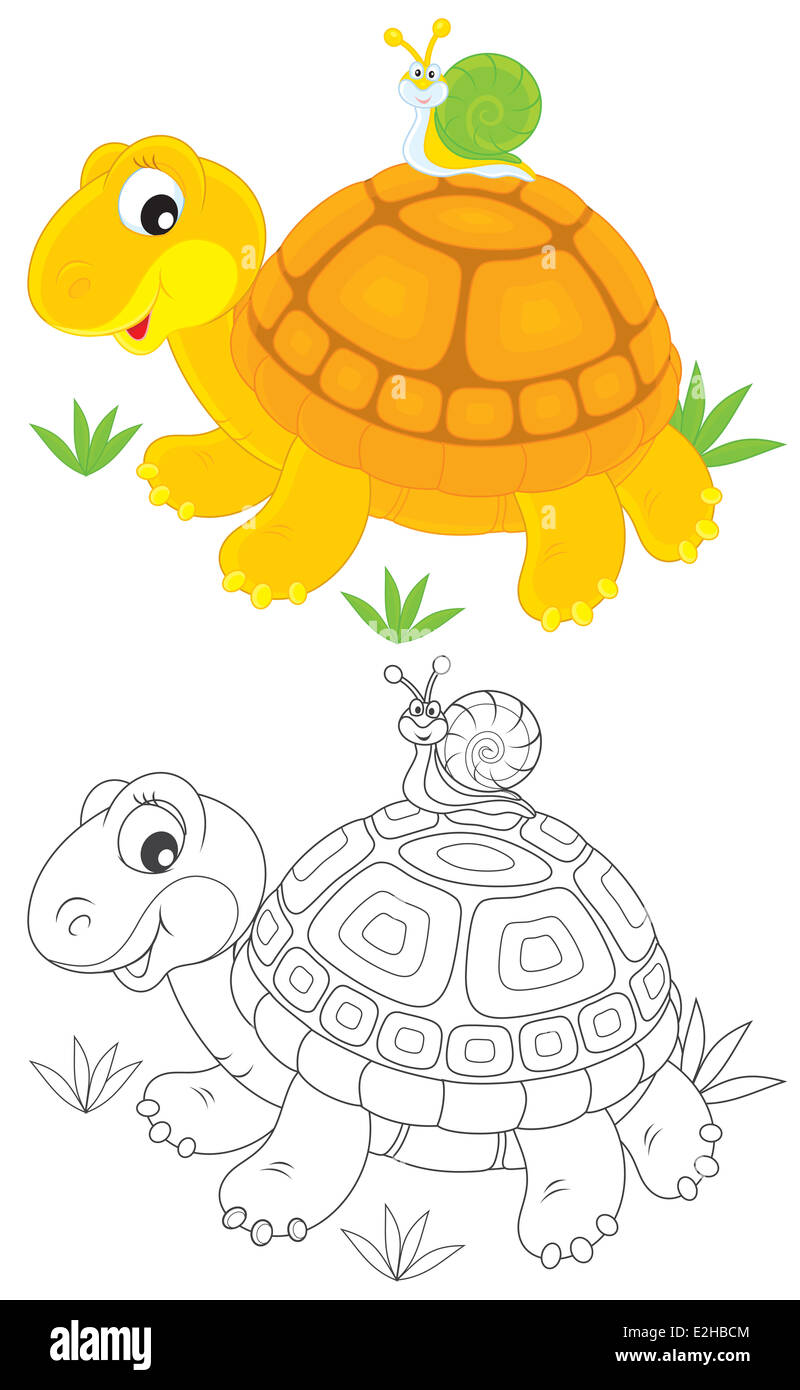 Tortoise and snail Stock Photo - Alamy