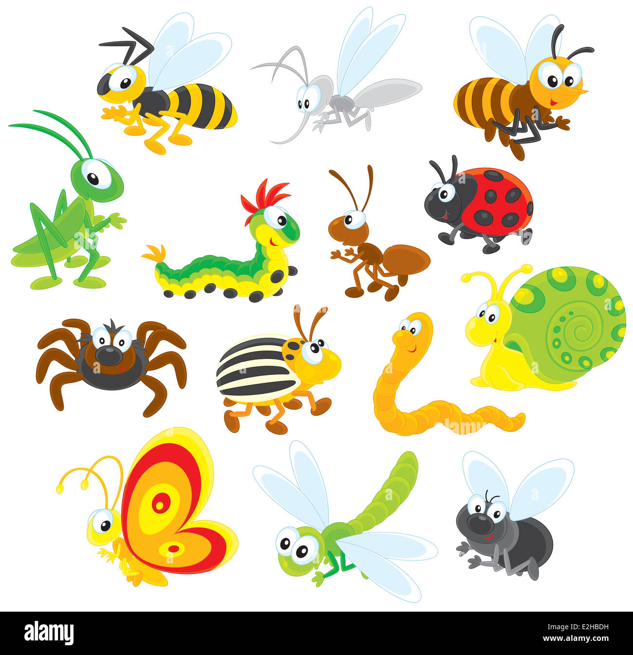 Collections of insects on a white background with fly, butterfly ...