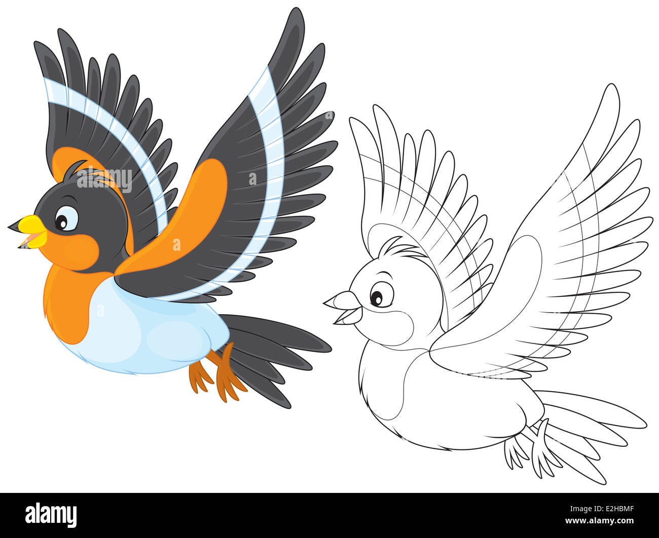 Bramble finch hi-res stock photography and images - Alamy