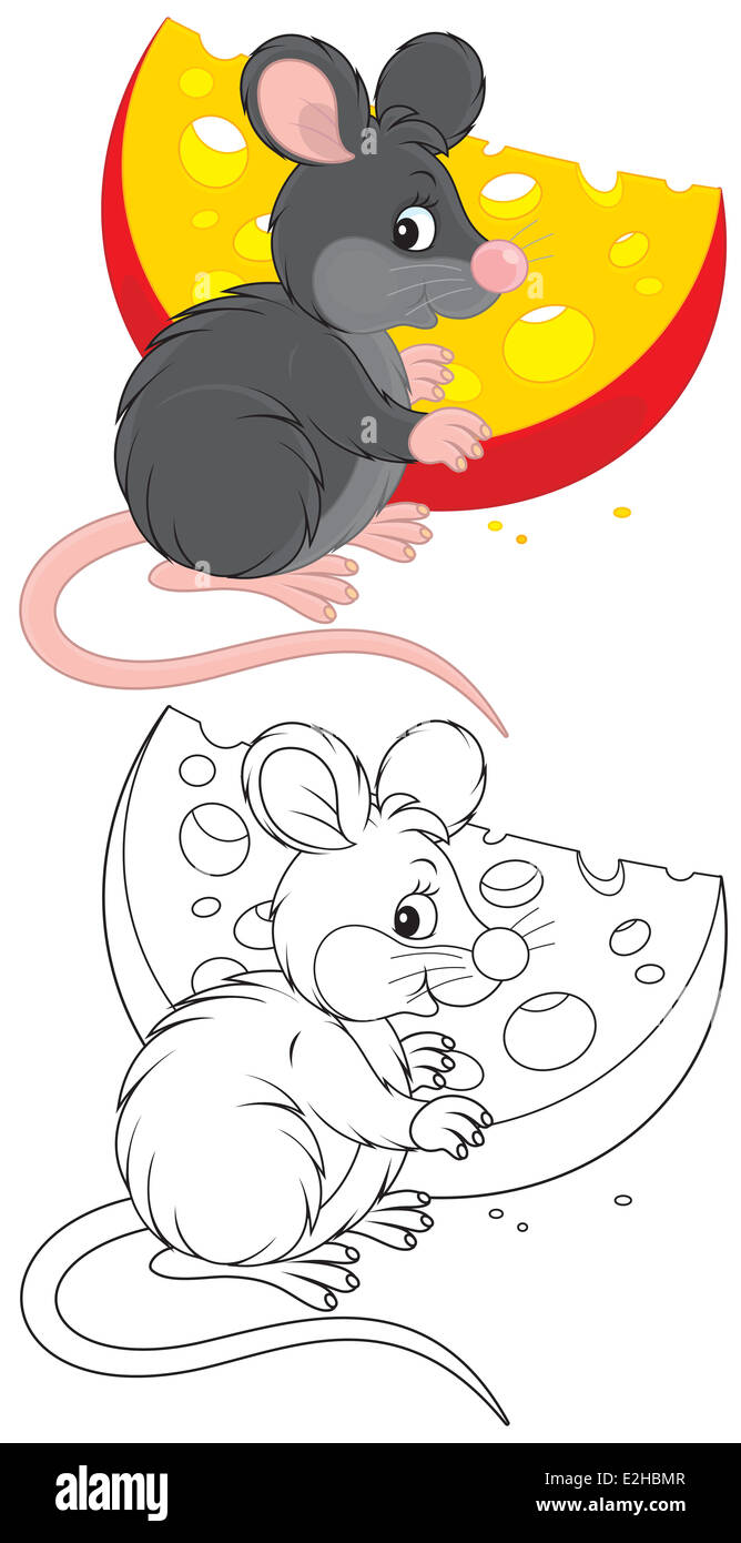 Rat and cheese Stock Photo - Alamy
