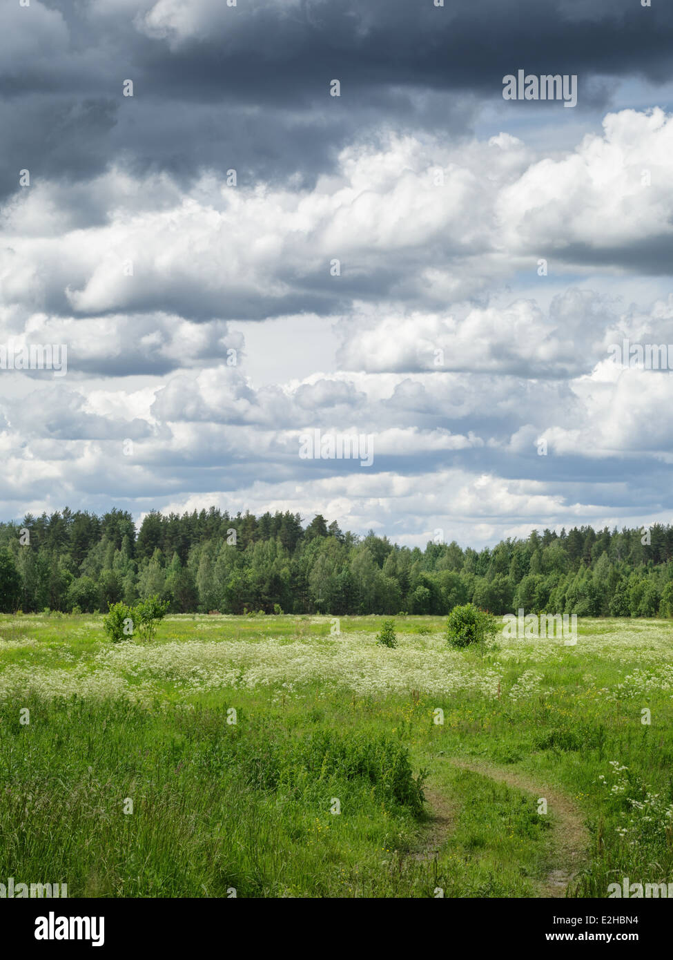 Russian countryside hi-res stock photography and images - Alamy