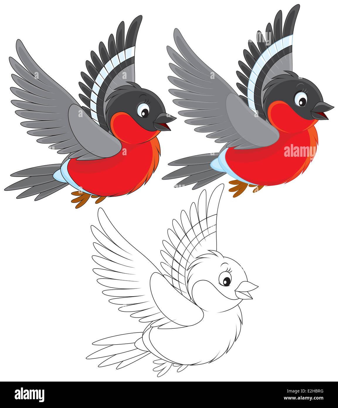 Little black bullfinch hi-res stock photography and images - Alamy