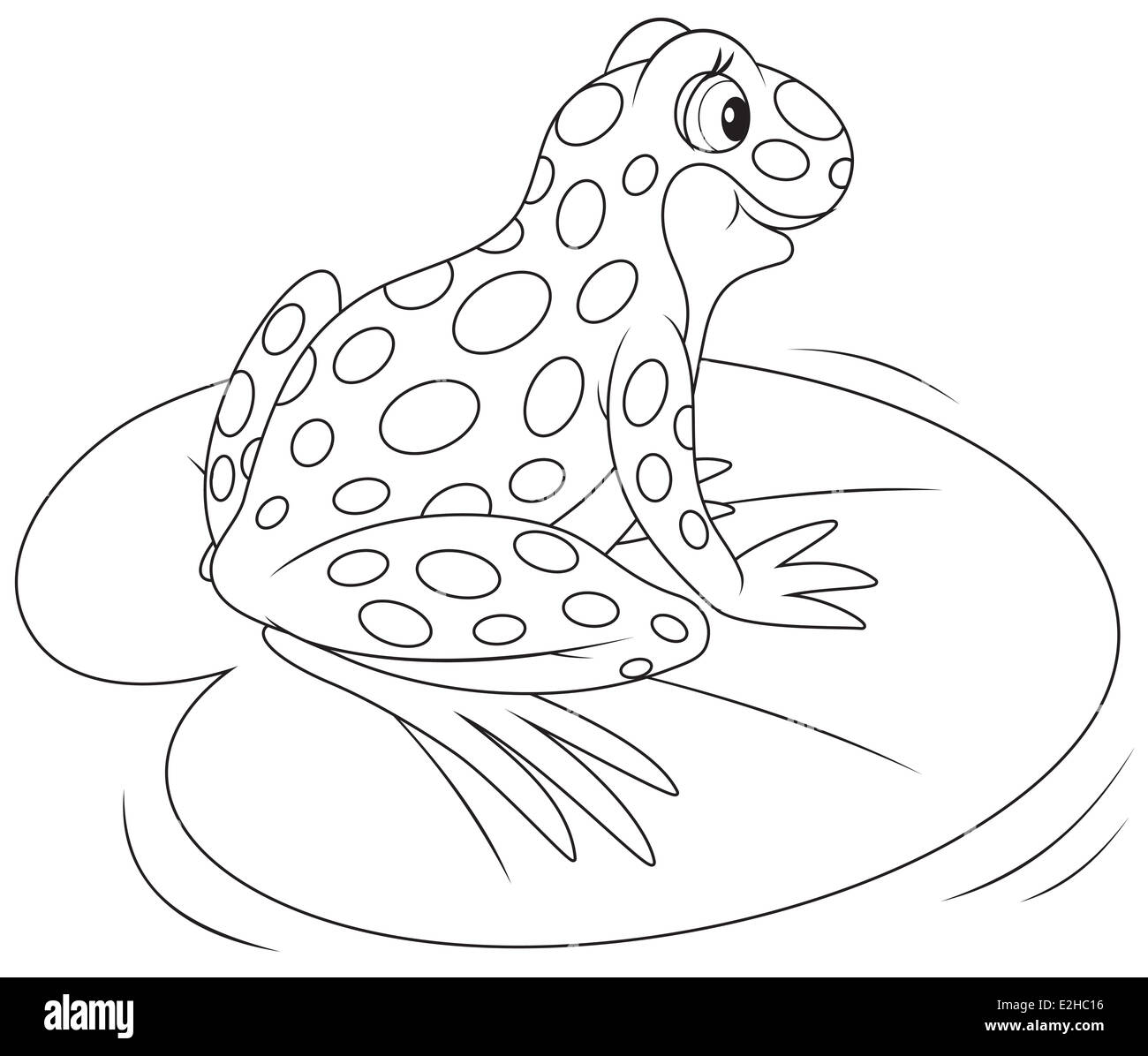 Frog drawing Black and White Stock Photos & Images - Alamy