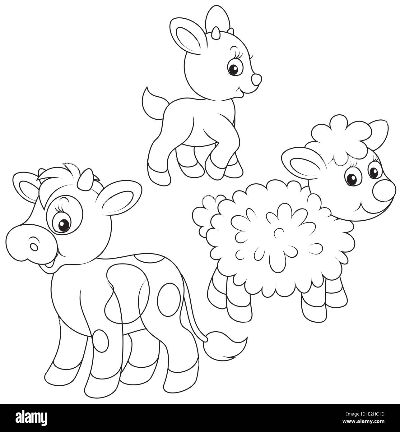 kid, calf and lamb Stock Photo - Alamy