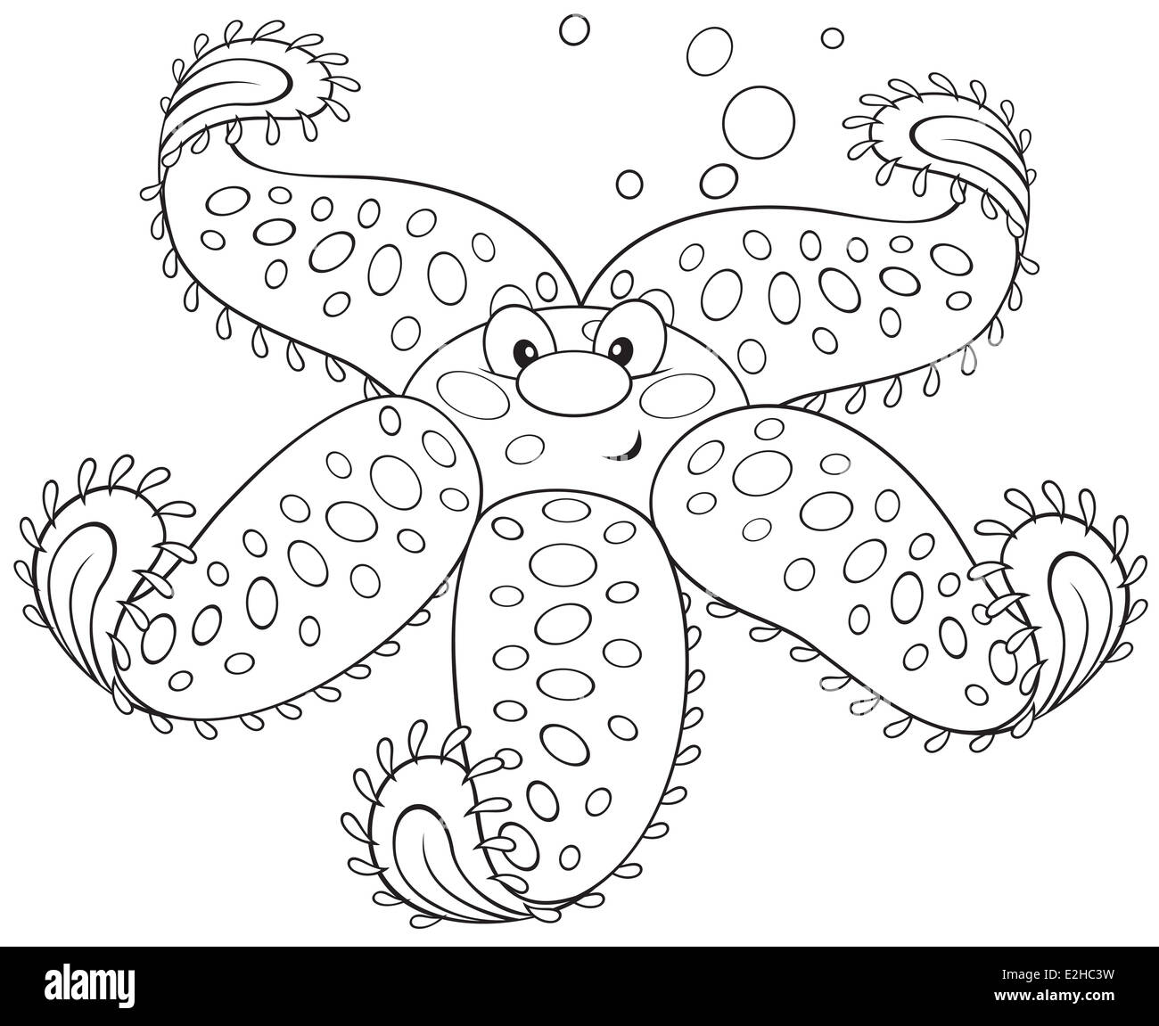 Vector starfish Black and White Stock Photos & Images - Alamy
