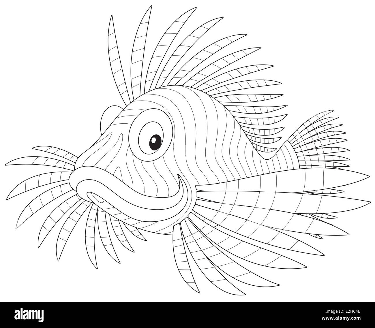 Scorpionfish illustration hi-res stock photography and images - Alamy