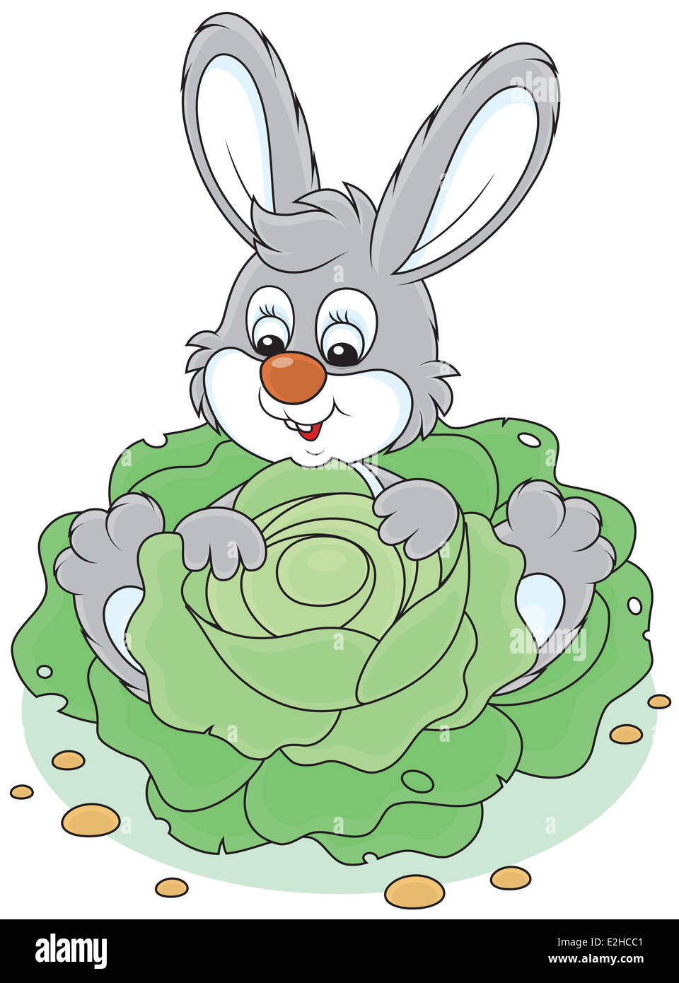 Bunny rabbit hare Cut Out Stock Images & Pictures - Alamy