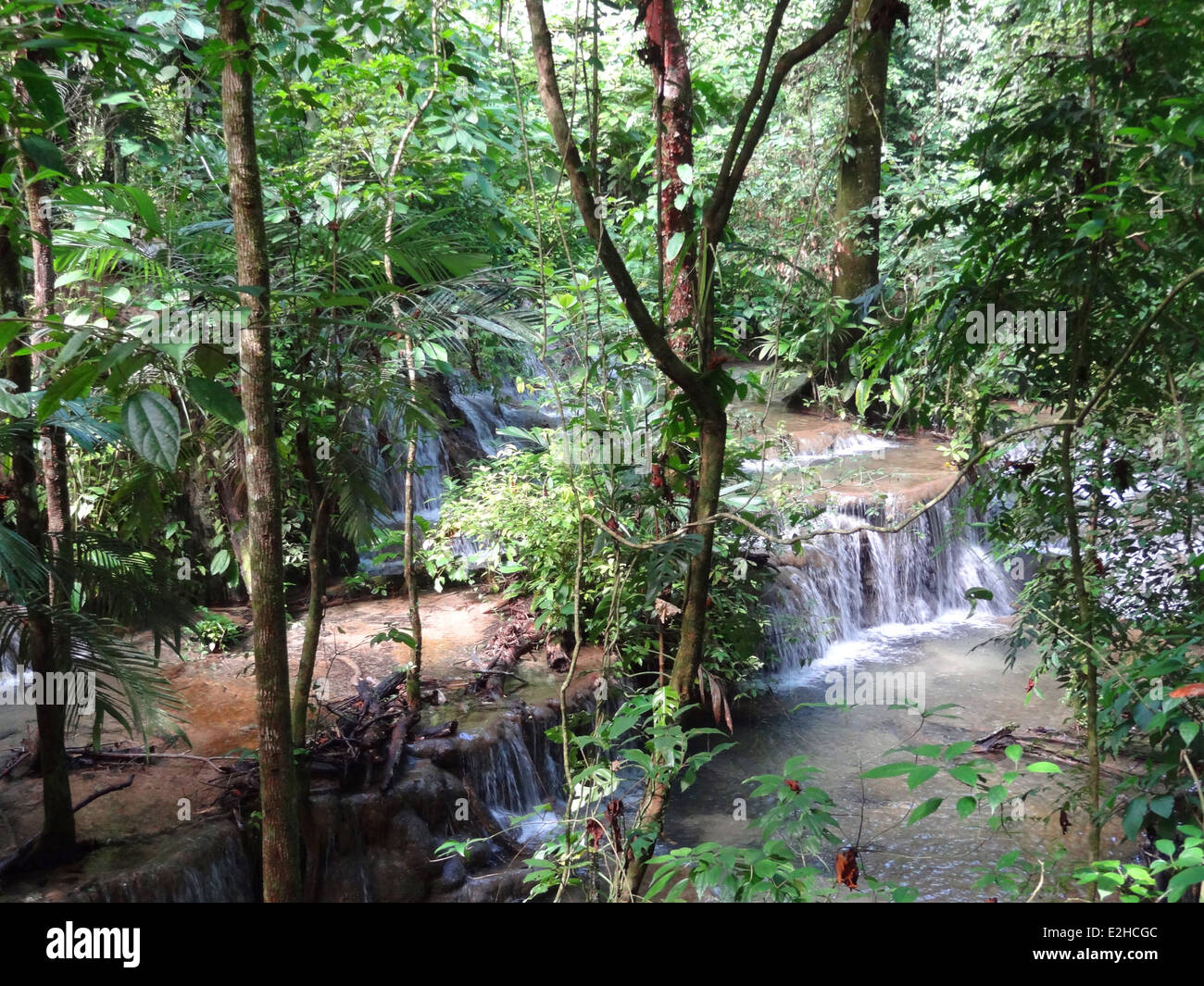 Jungle scenery hi-res stock photography and images - Alamy