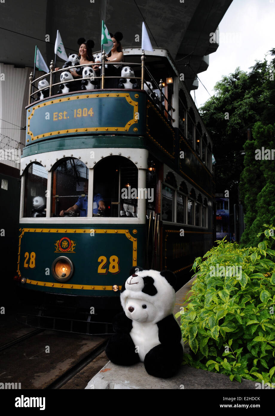 Paulo grangeon pandas hi-res stock photography and images - Alamy