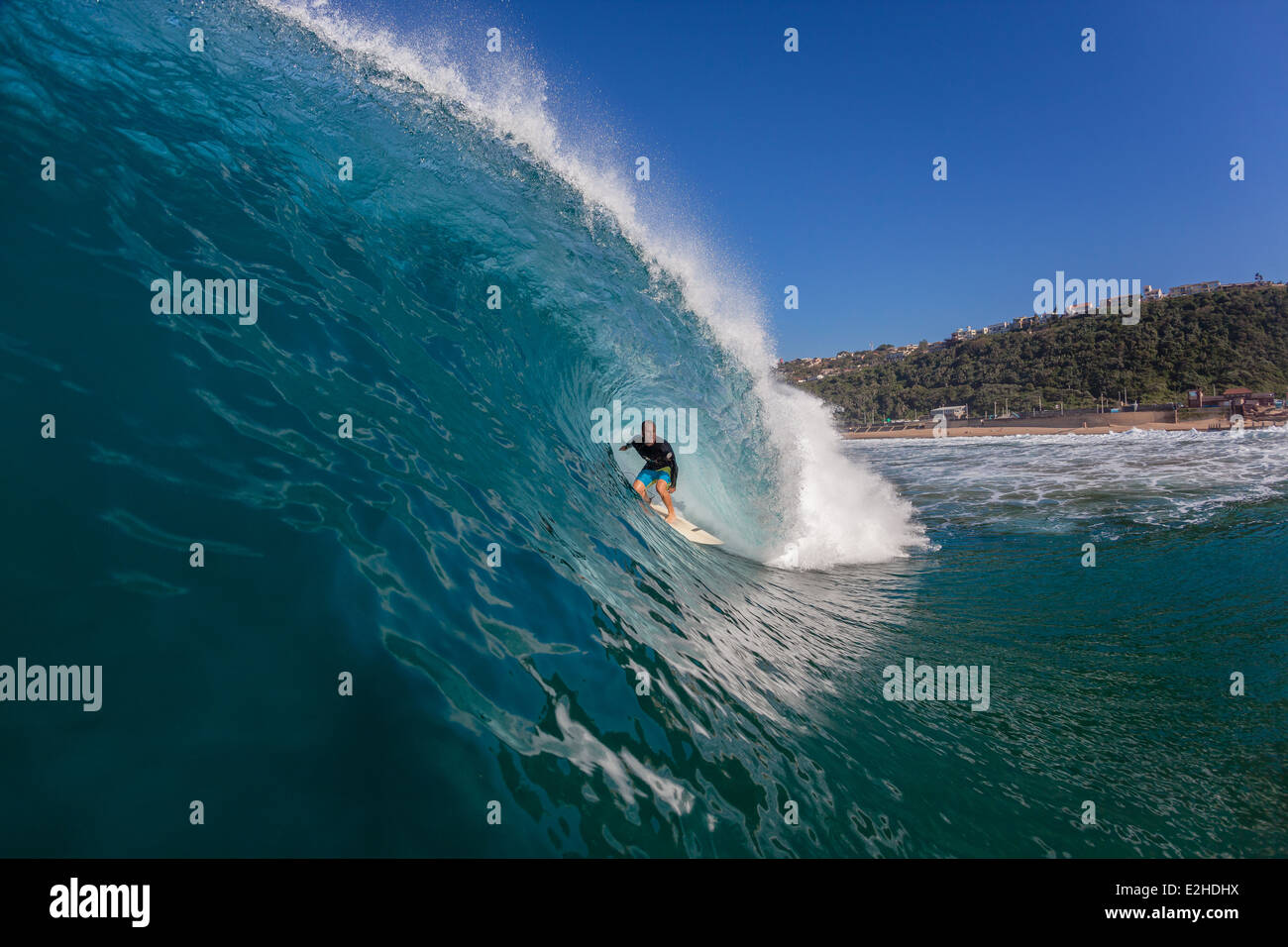 Surfer surfing rides inside hollow ocean blue wave crashing tube ride ...