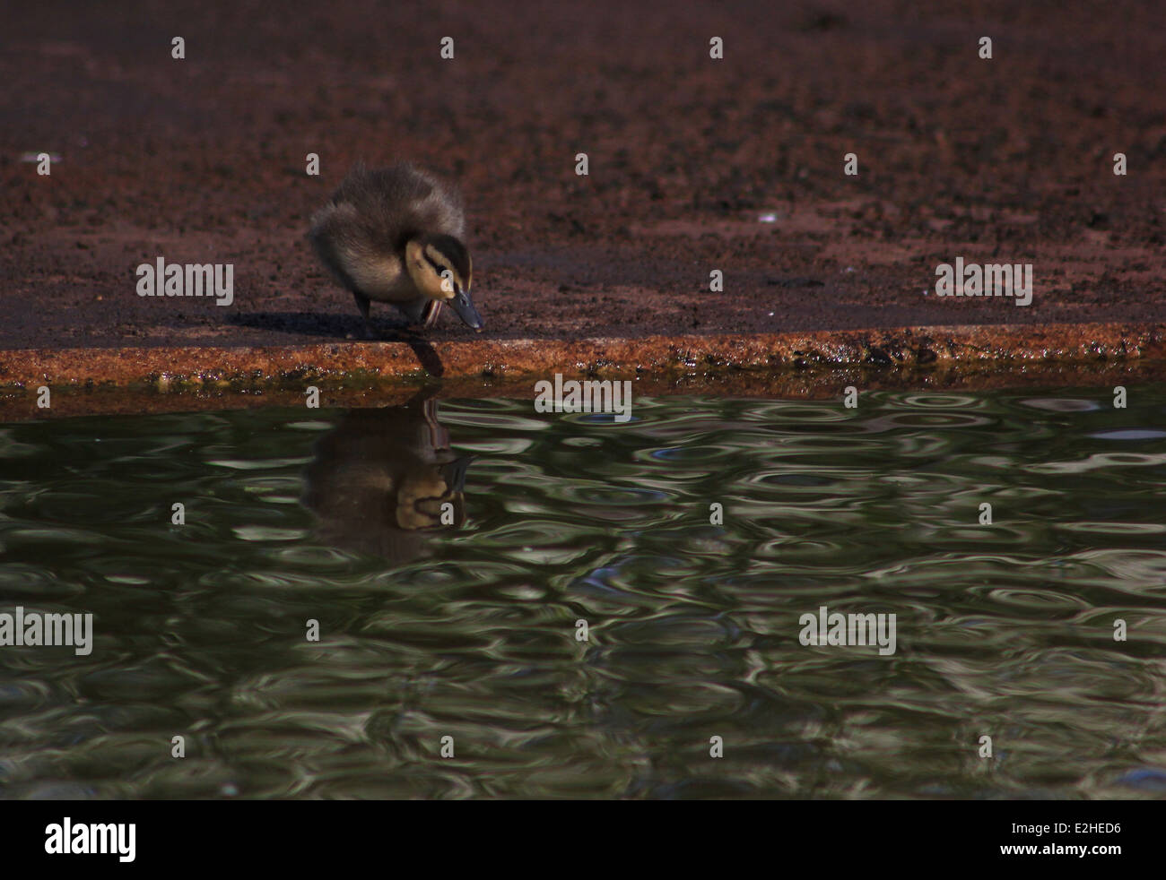 One small step Stock Photo - Alamy