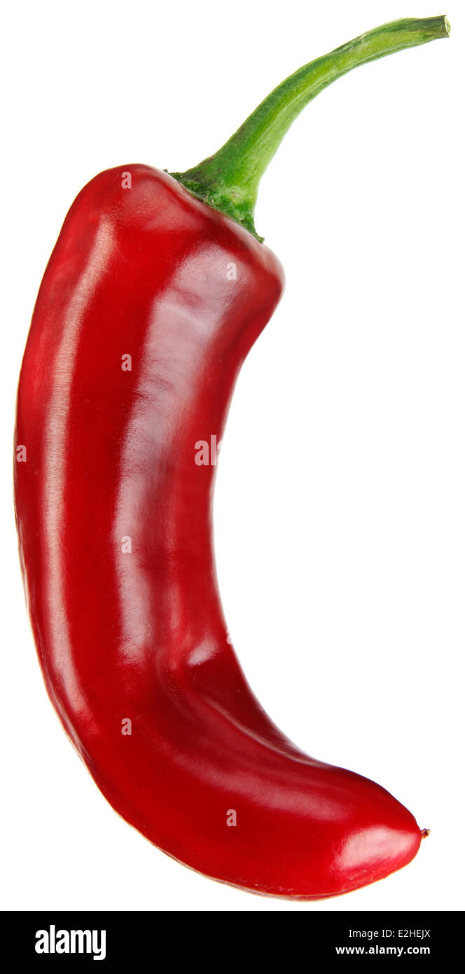 A RED CHILI PEPPER CUTOUT ON A WHITE BACKGROUND Stock Photo - Alamy
