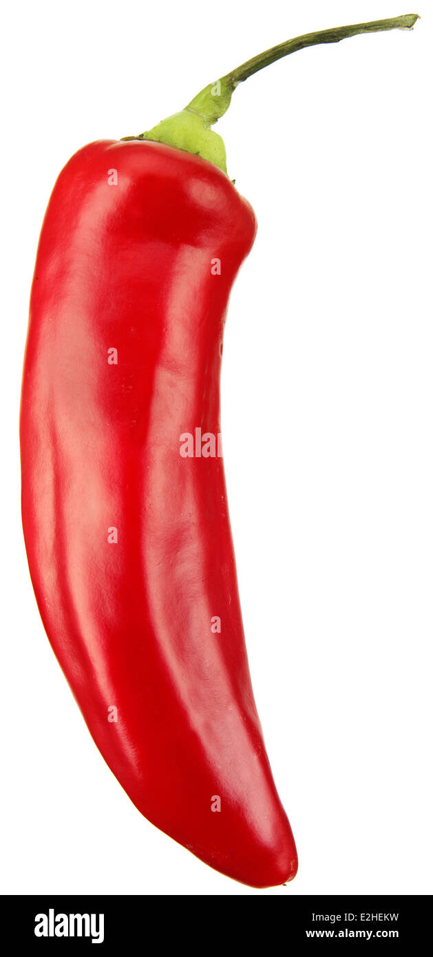A RED CHILI PEPPER CUTOUT ON A WHITE BACKGROUND Stock Photo - Alamy
