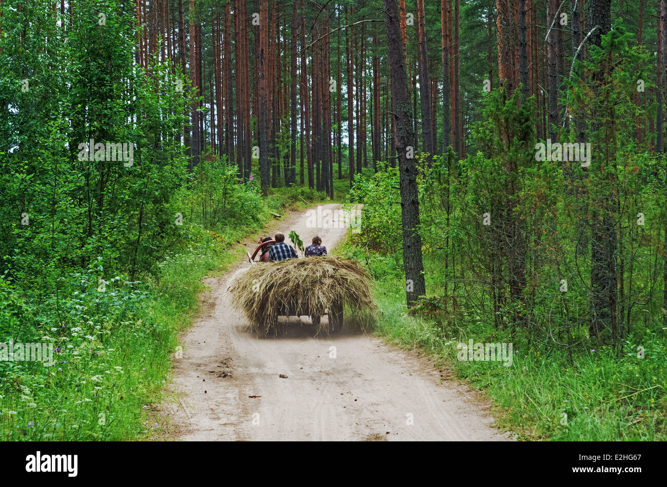 Old fashioned rope making hi-res stock photography and images - Alamy