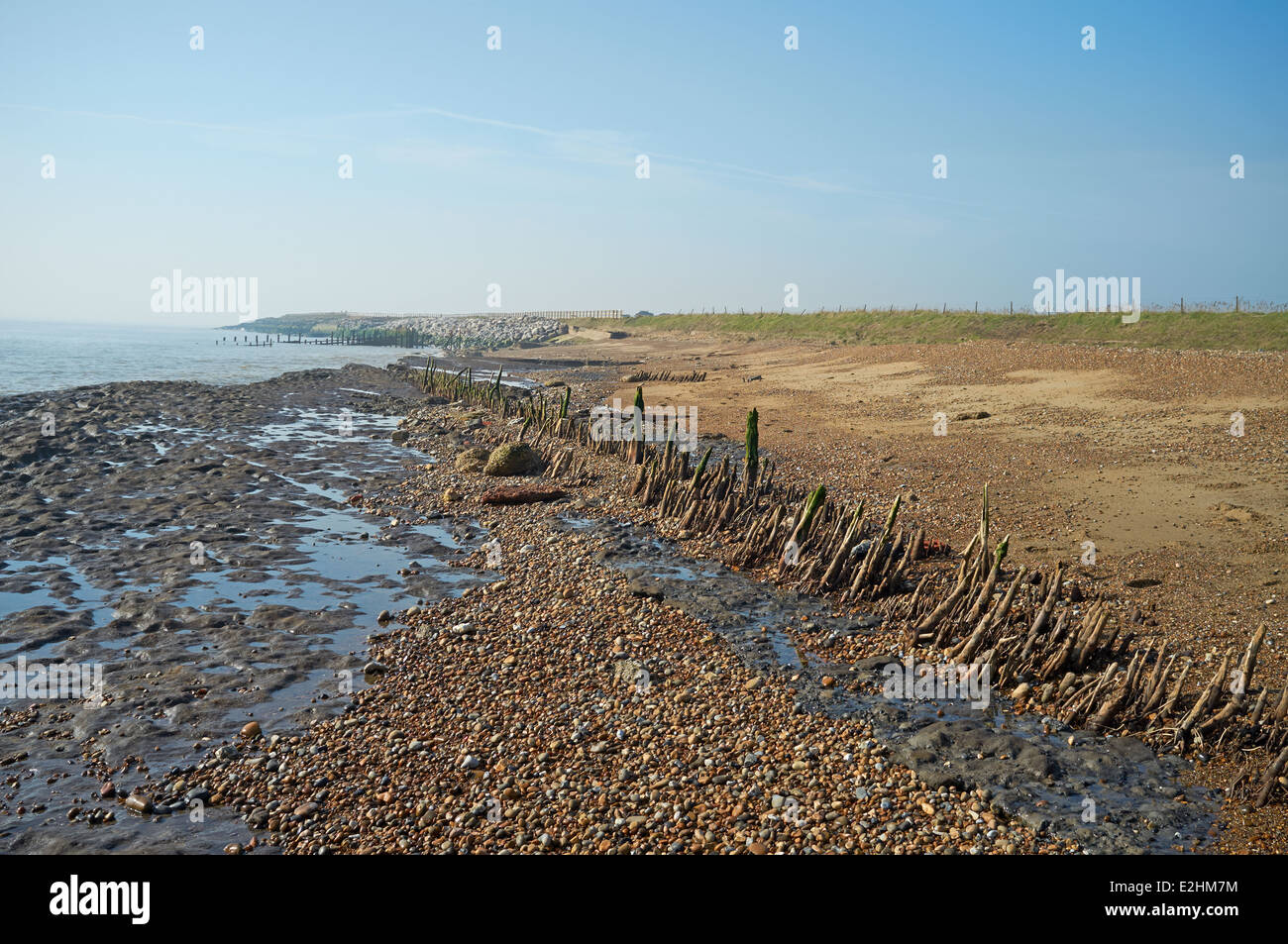 Remains of ancient wooden fish traps from the late Saxon early Tudor ...