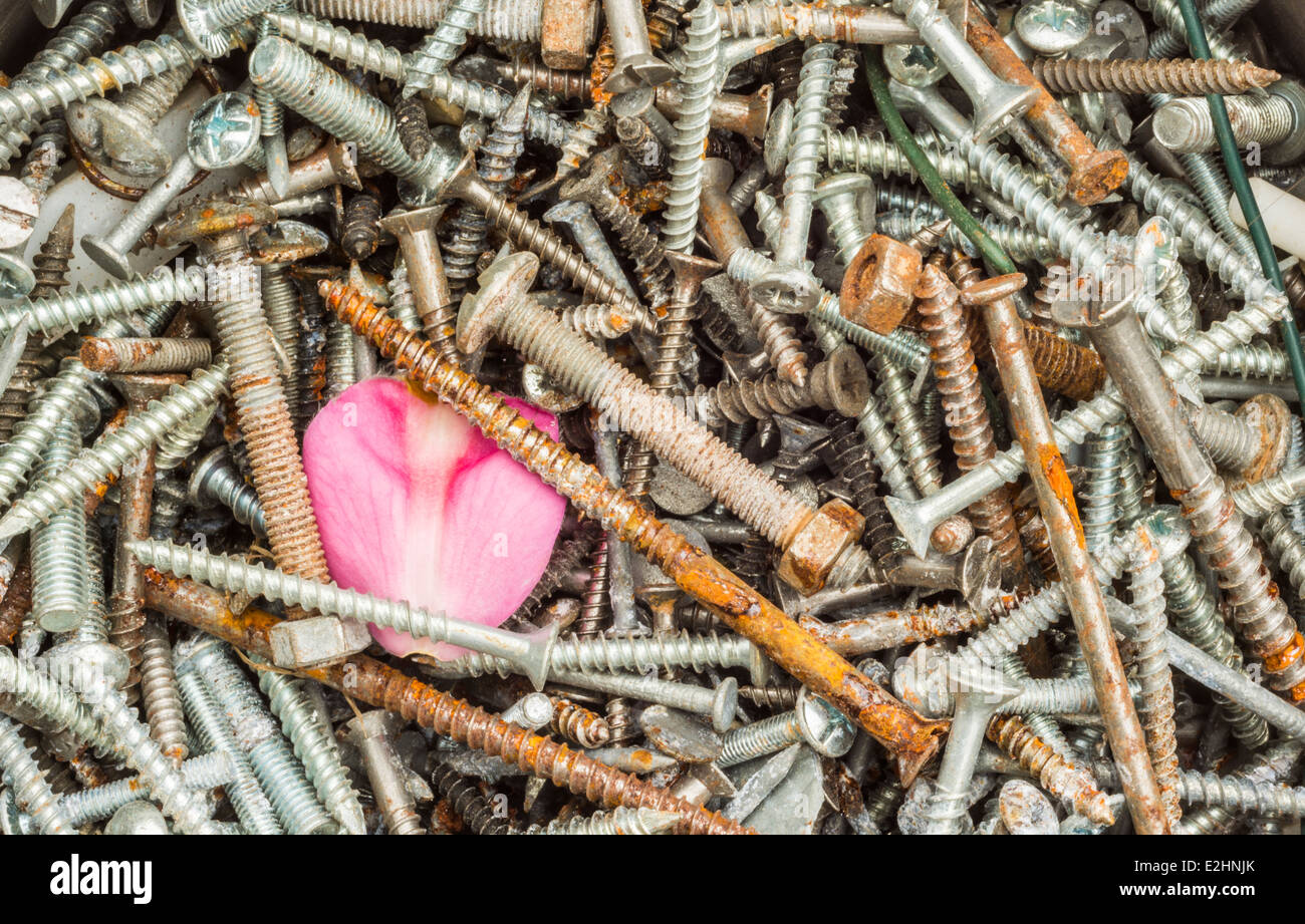 Screws bolts hi-res stock photography and images - Alamy