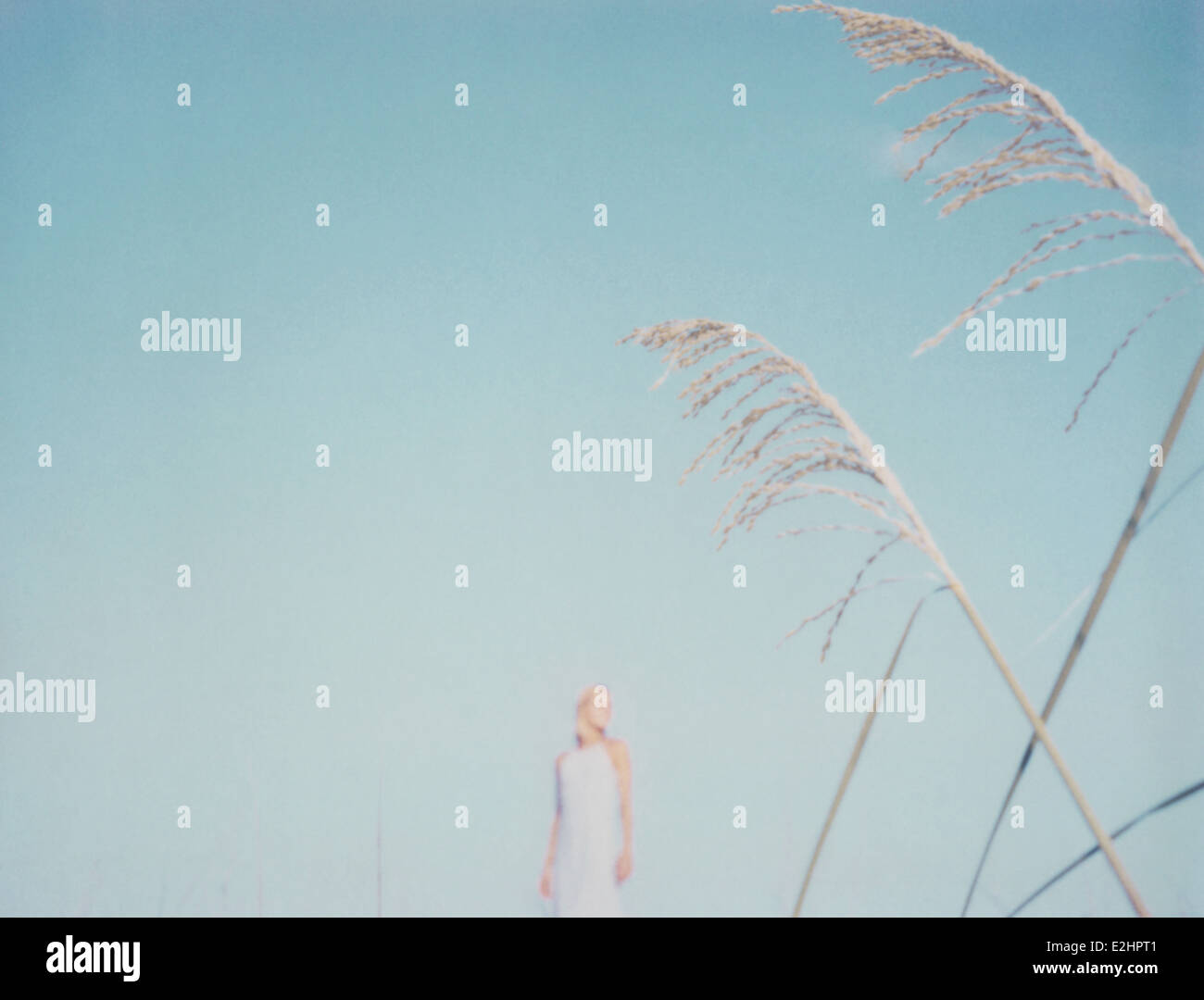 Woman standing in the distance, focus on tall grass in foreground Stock ...