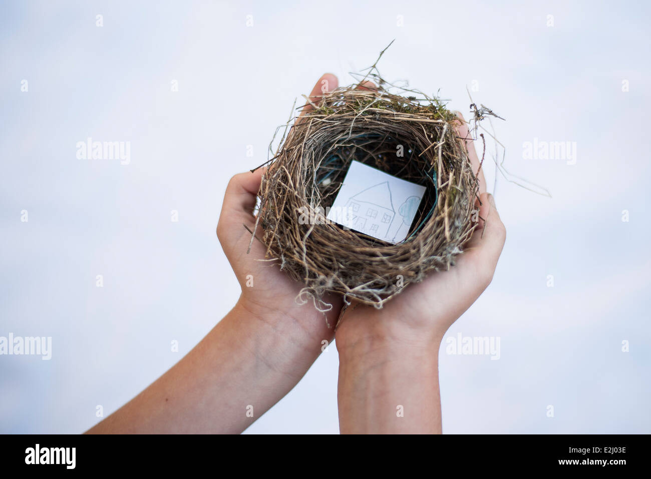 Empty Bird Nest Drawing