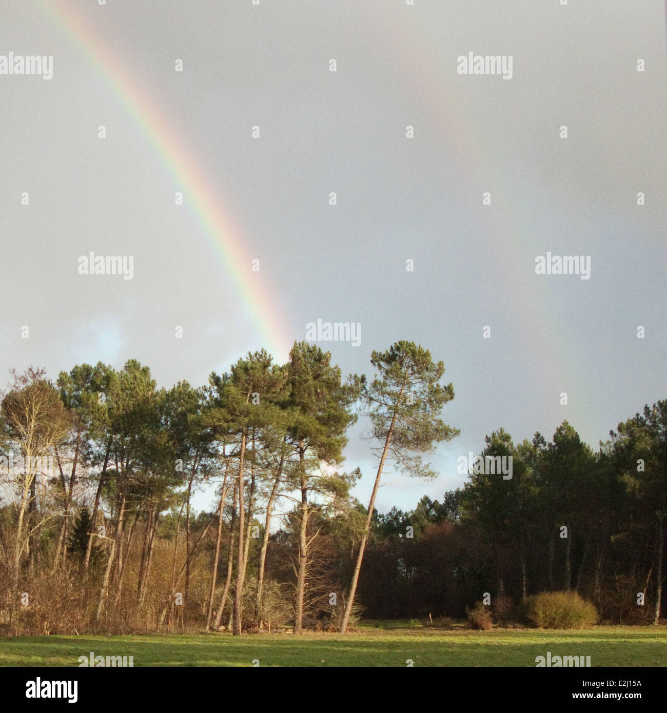 Rainbow over forest Stock Photo - Alamy